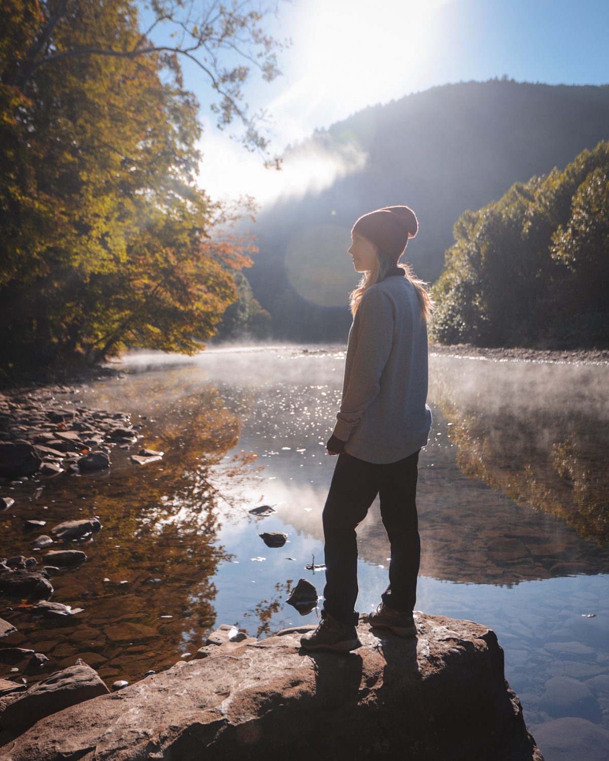 Elk Viewing Guide For Benezette, Pennsylvania - best weekend getaway!