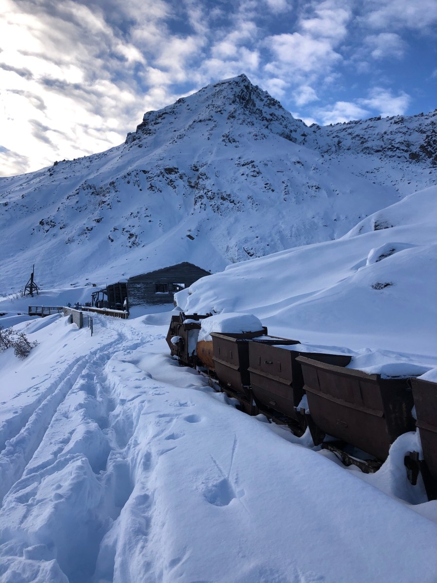 Winter Activities in Alaska: 10 Adventures of a Lifetime - absolutely wild!